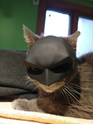 Cat/Dog Batman Mask by FxhDesigns | Download free STL model ...