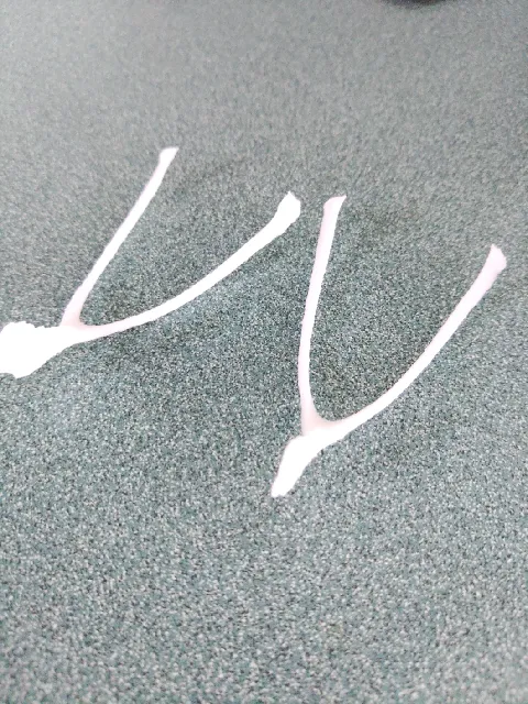 Make of Anatomically-correct wishbone for vegan Thanksgiving by Charles ...