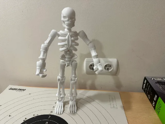 skeleton by printerboy | Download free STL model | Printables.com