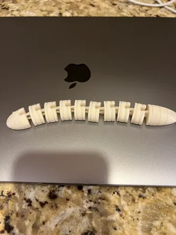 Articulated Fidget Worm by NeonBlack | Download free STL model ...