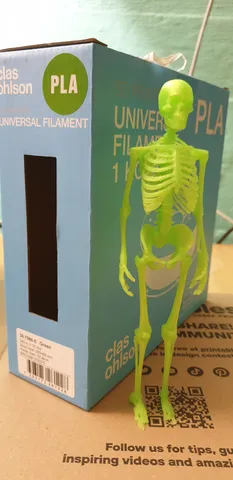 Skeleton by Peter Farell | Download free STL model | Printables.com