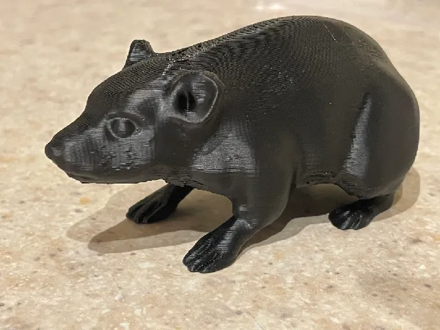 Make of Rat by Dingus | Download free STL model | Printables.com