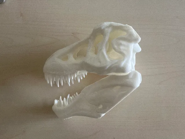 T-Rex Skull by ST3MP3D | Download free STL model | Printables.com