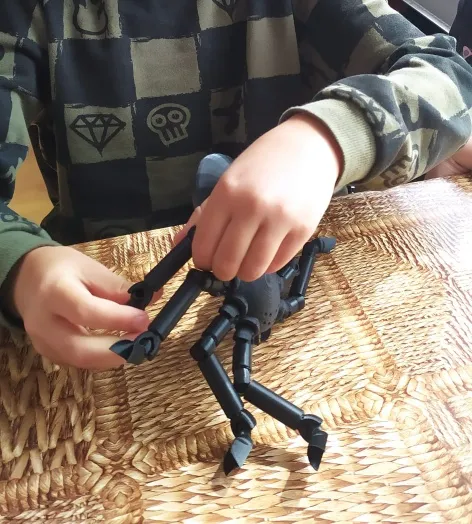 Make of Posable Articulated Spider by Dash | Download free STL model ...