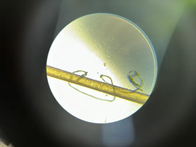Make of GALILEO Modular Microscope by Chad Lipscomb | Download free STL ...