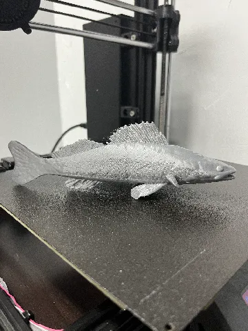 Walleye by Peter Farell | Download free STL model | Printables.com