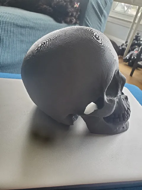 Make of Skull Ornament by joshua buckland | Download free STL model ...