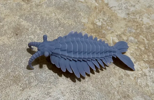Anomalocaris sculpture by DragonArtist15 | Download free STL model ...
