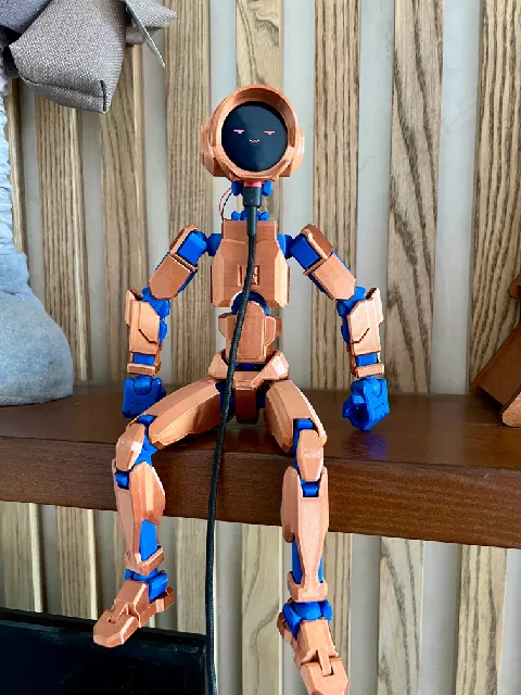 Make of Knomi 2 Head for Dummy 13!! Your new interactive printer bot ...