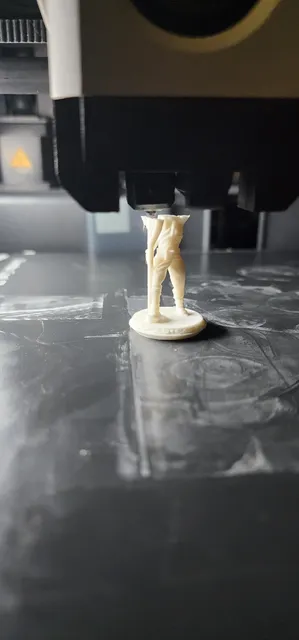 Make of (32) Barbarian Elf - Gender Neutral - No supports needed by ...