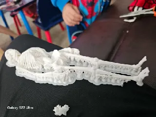 Skeleton by Peter Farell | Download free STL model | Printables.com