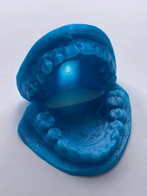Make of Set of teeth - dental model - 3D Scan (test with Raspi Cam) by ...