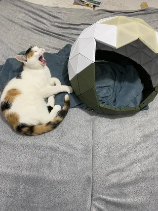 Geodesic Dome Cat House - Pine Tree Cutouts by Dean Rogers | Download ...