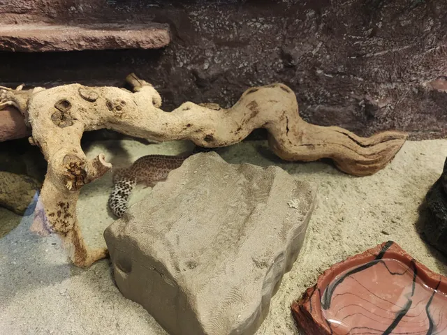 False-Rock Reptile Humid Hide by WannabeGroundhog | Download free STL ...