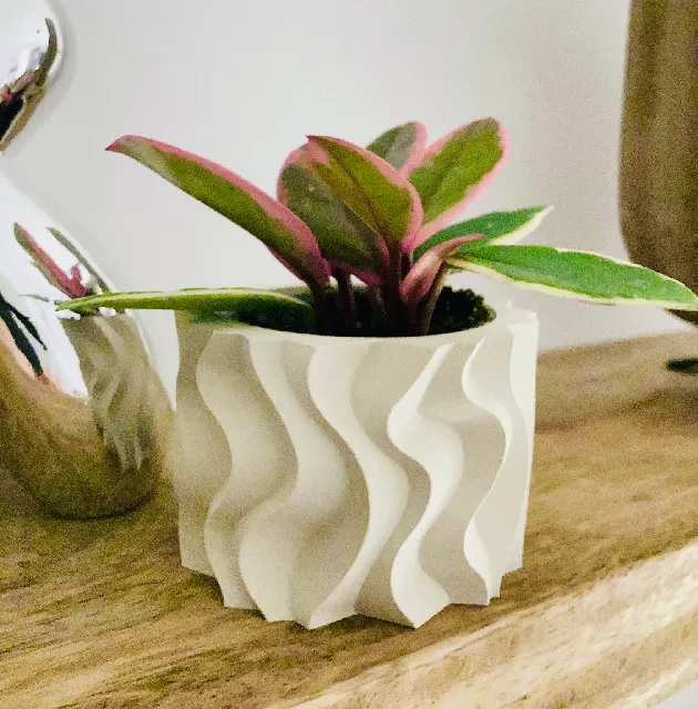 Make of Distortion 2 Pot and Planter for your House Plants - Vase mode ...