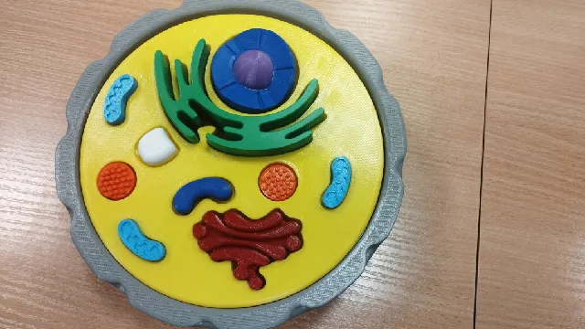 Make of Buildable Cell model by Wojciech Bajer | Download free STL ...