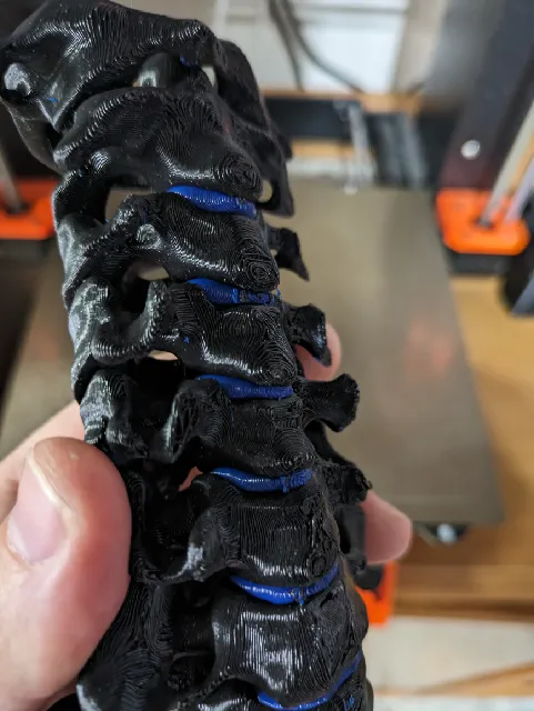 Make of Flexible Spine by Kirk Makes Things | Download free STL model ...