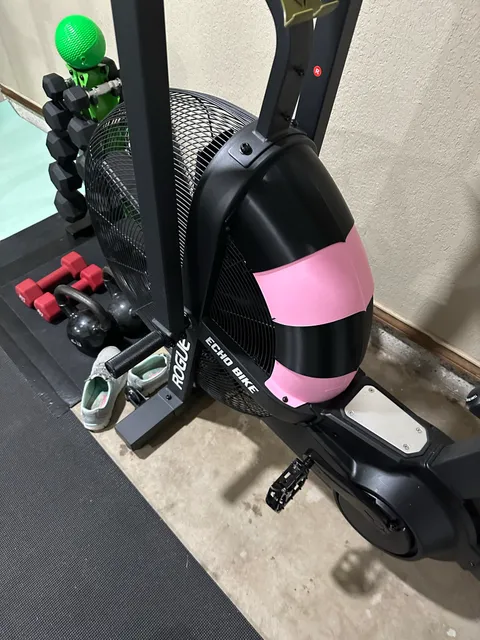 Make of Rogue Echo Bike - Wind Guard by curmudgeon | Download free STL ...
