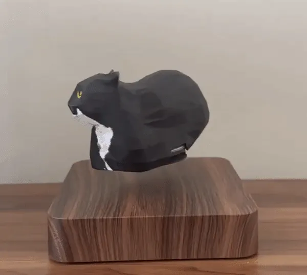 Make of Floating Maxwell the Cat by Ice2be | Download free STL model ...