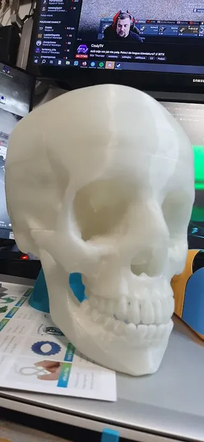 Make of Human skull, anatomically correct by Szymon Cyfer Barwiński ...