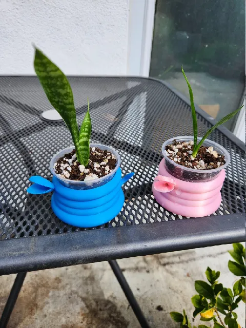 Make of Snake Pot (Self-watering for plants) by wayne yamaguchi ...