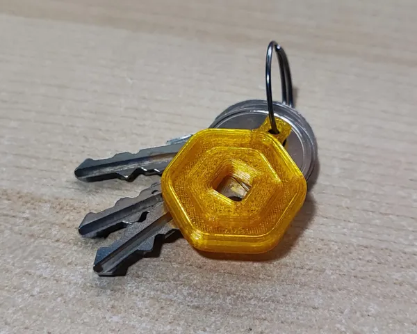Robux Coin Keychain by 3DPrintDad | Download free STL model ...