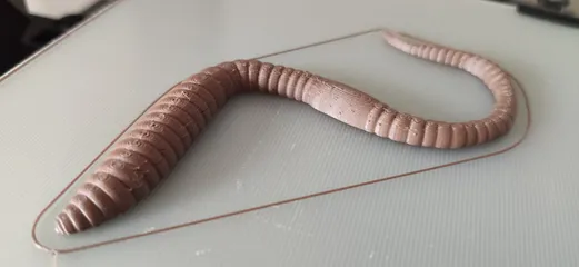 earthworm by Visio 3D Team | Download free STL model | Printables.com