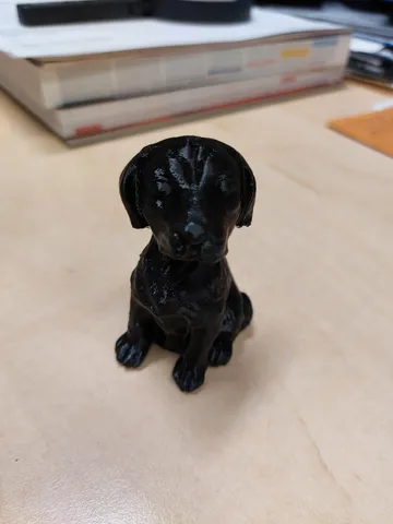 Sitting Dog - 3D Scan by openscan | Download free STL model ...