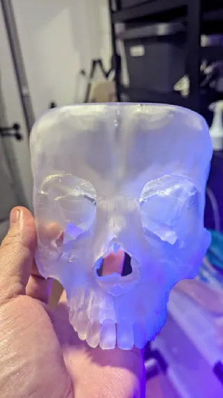 Human skull, anatomically correct by Peter from Belgium | Download free ...