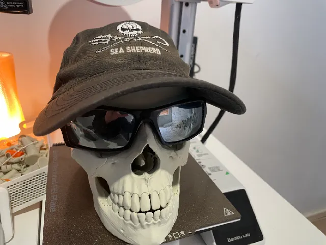 Human skull, anatomically correct - Re-Cut by Gage | Download free STL ...