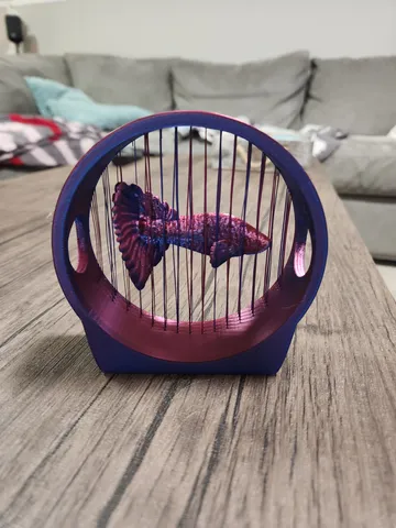 Suspended Betta fish by Vec4 | Download free STL model | Printables.com