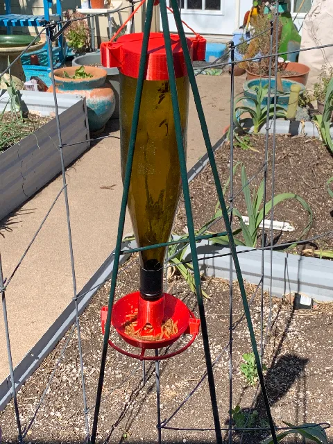 Make of Wine Bottle Bird Feeder remix by pattyarnold | Download free ...