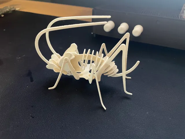 cricket skeleton by RemyEnder | Download free STL model | Printables.com