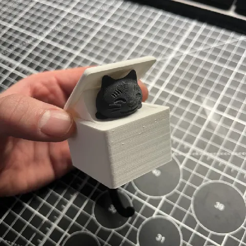 Fixed Box Cat key hook by RocKz | Download free STL model | Printables.com