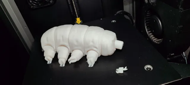 Make of Articulated Tardigrade by aloxuhik | Download free STL model ...