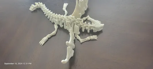 skeleton dragon by Cooper Olson | Download free STL model | Printables.com