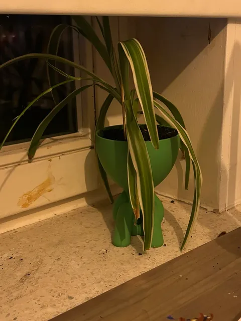 Make of Hydroponic, Self-Watering, Seeds starter, Robert Planters by ...
