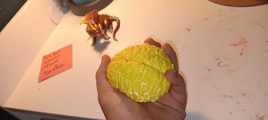 Full-size human brain by Julia Ebert | Download free STL model | Printables.com