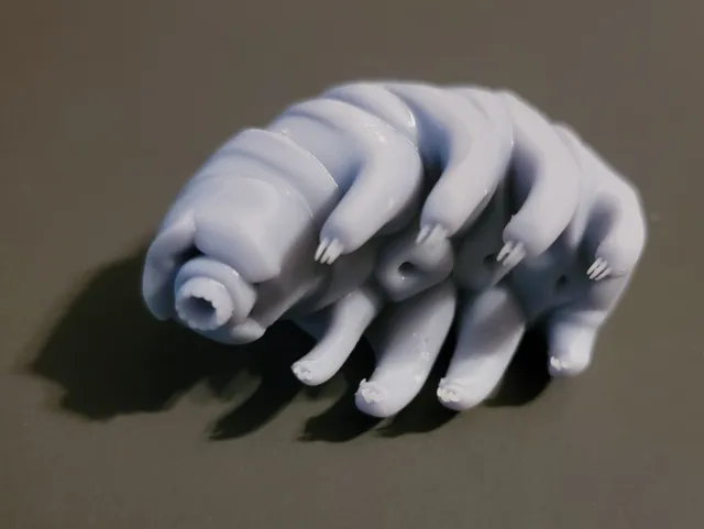 Make of Tardigrade - a little water bear by Redeix | Download free STL ...