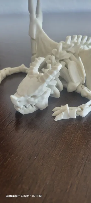 skeleton dragon by Cooper Olson | Download free STL model | Printables.com