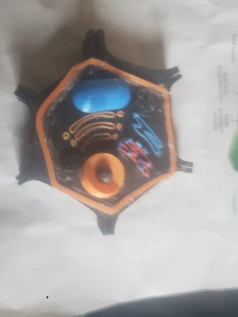 Make of Plant Cell by Clay Daly | Download free STL model | Printables.com