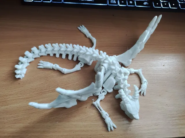 skeleton dragon by Cooper Olson | Download free STL model | Printables.com