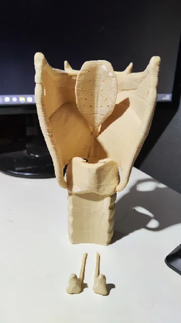 Make of Printable Model Larynx by Sidious 01 | Download free STL model ...