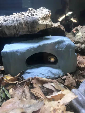 False-Rock Reptile Humid Hide by WannabeGroundhog | Download free STL ...