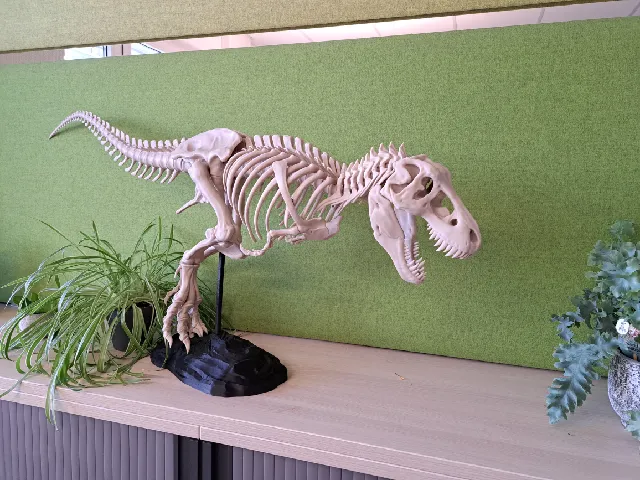T-Rex Skeleton fixed and printable by icefox | Download free STL model ...