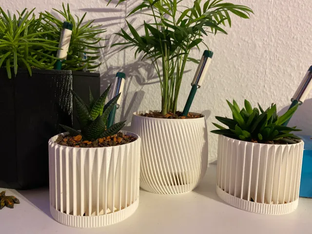 small succulent planter pot (vase mode) by Catdad Workshop | Download free STL model ...