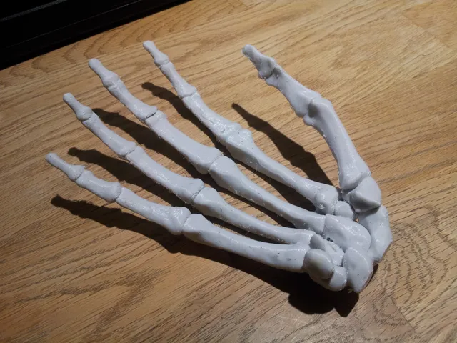 Make of Skeleton hand for halloween! by HB-3D | Download free STL model ...