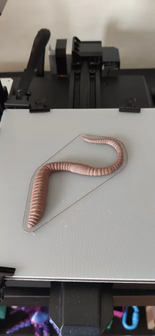 earthworm by Visio 3D Team | Download free STL model | Printables.com