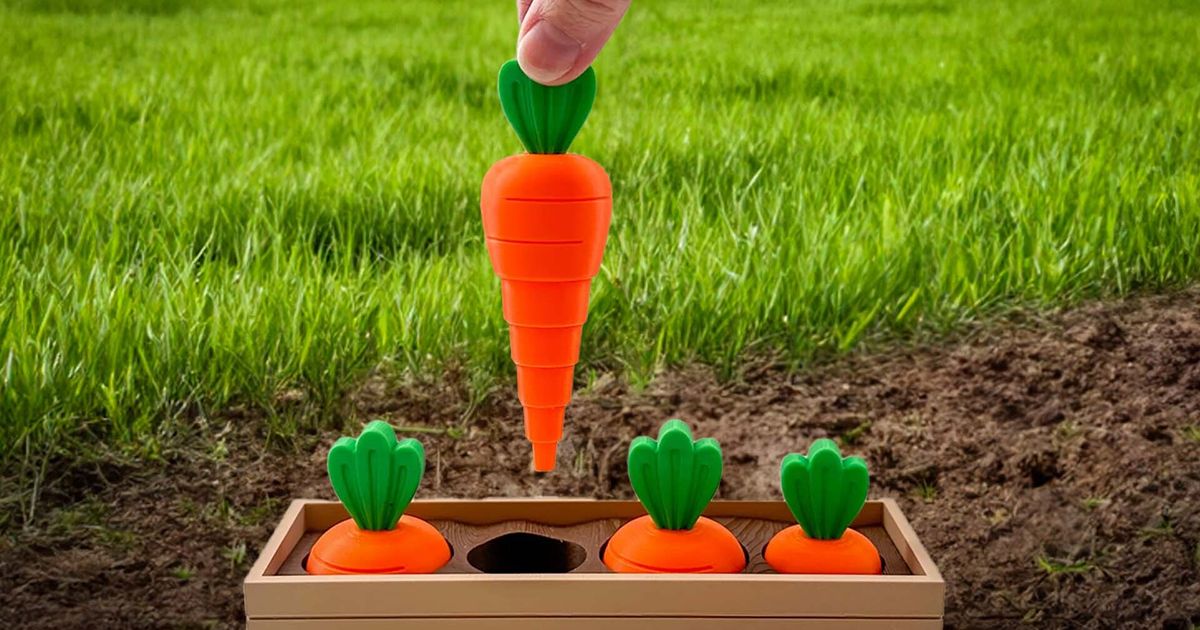 Collapsible Models | Contest theme | Printables.com