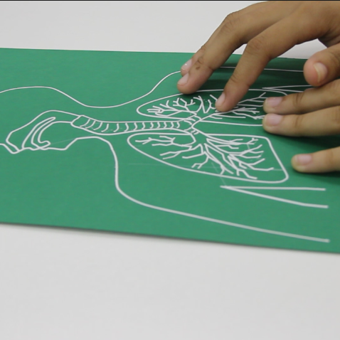 Tactile Images – 3D printer users group | Groups | Printables.com